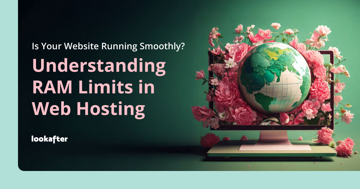 Understanding RAM Limits in Web Hosting