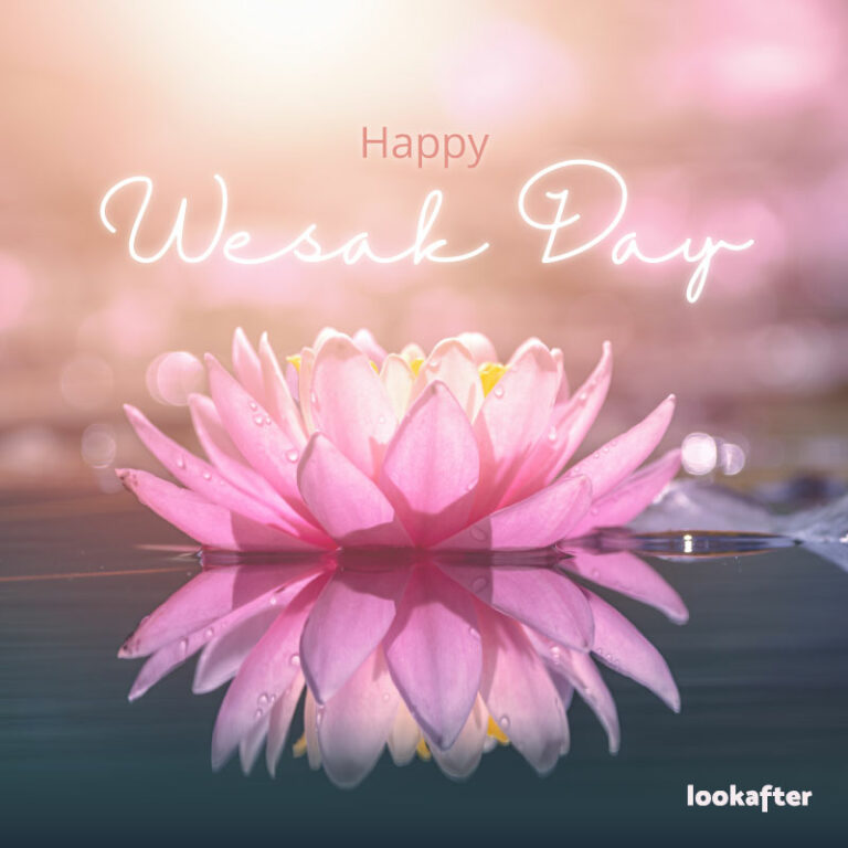 Happy Wesak Day 2026 - Lookafter